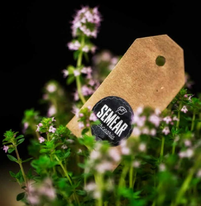 BIPP lança novo Catálogo Mercearia do SEMEAR - Oeiras Solidária